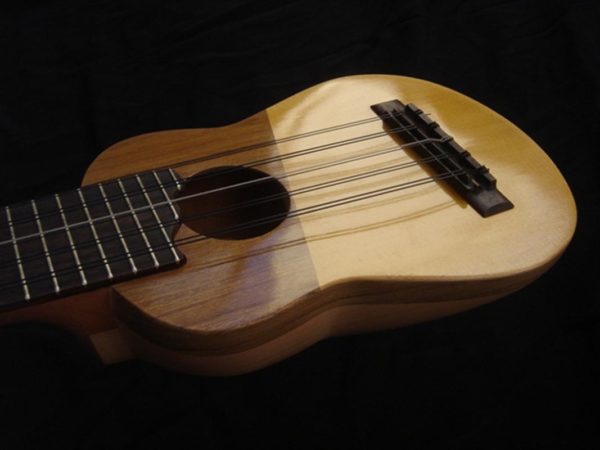 Cordófonos del mundo – Alex Leibiusky